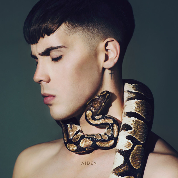 TunesTree • Aiden Grimshaw (or AIDEN, as he now prefers) has...